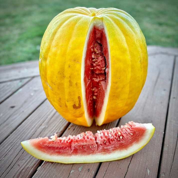 Watermelon - Royal Golden – Beebe Seed Co