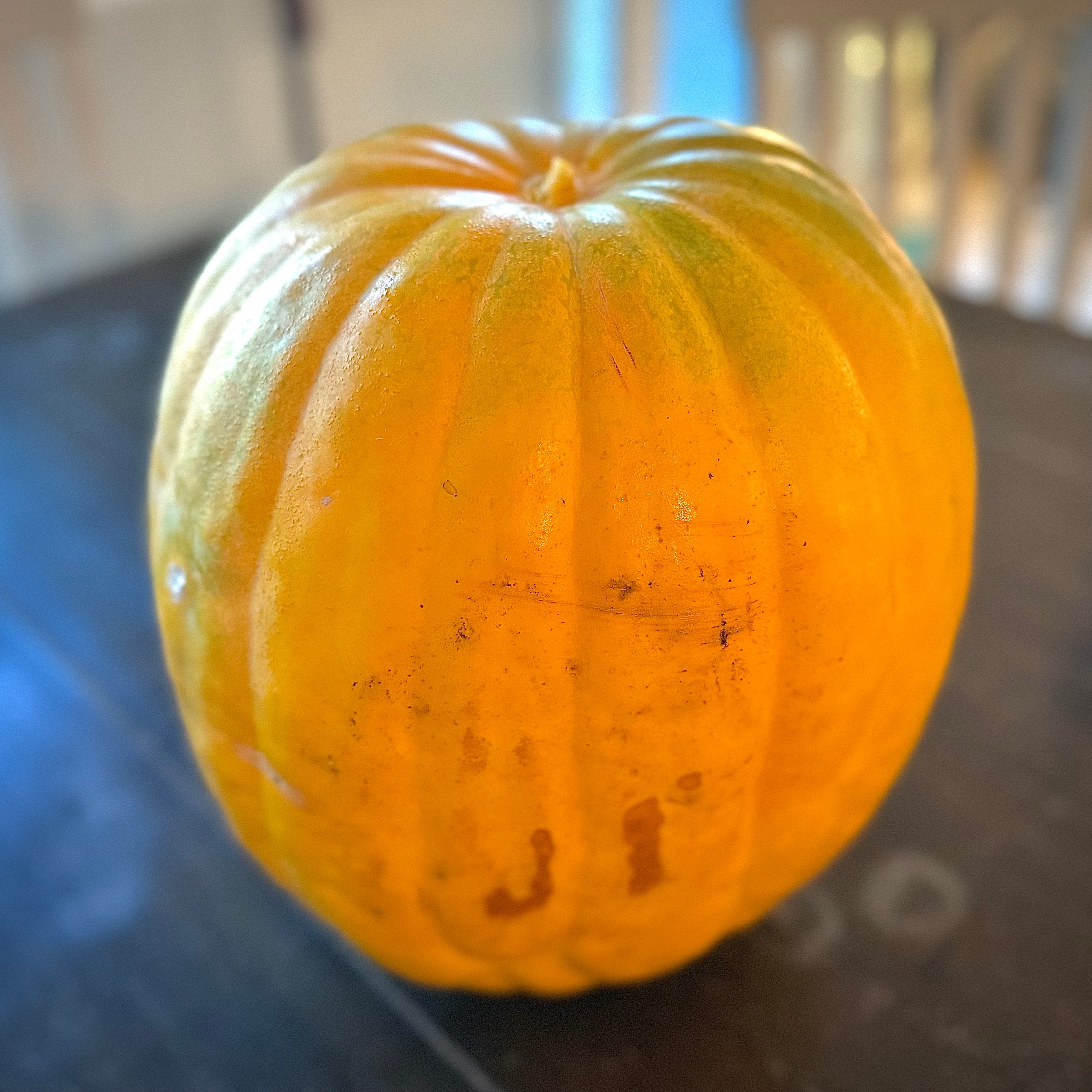 Watermelon - Royal Golden – Beebe Seed Co