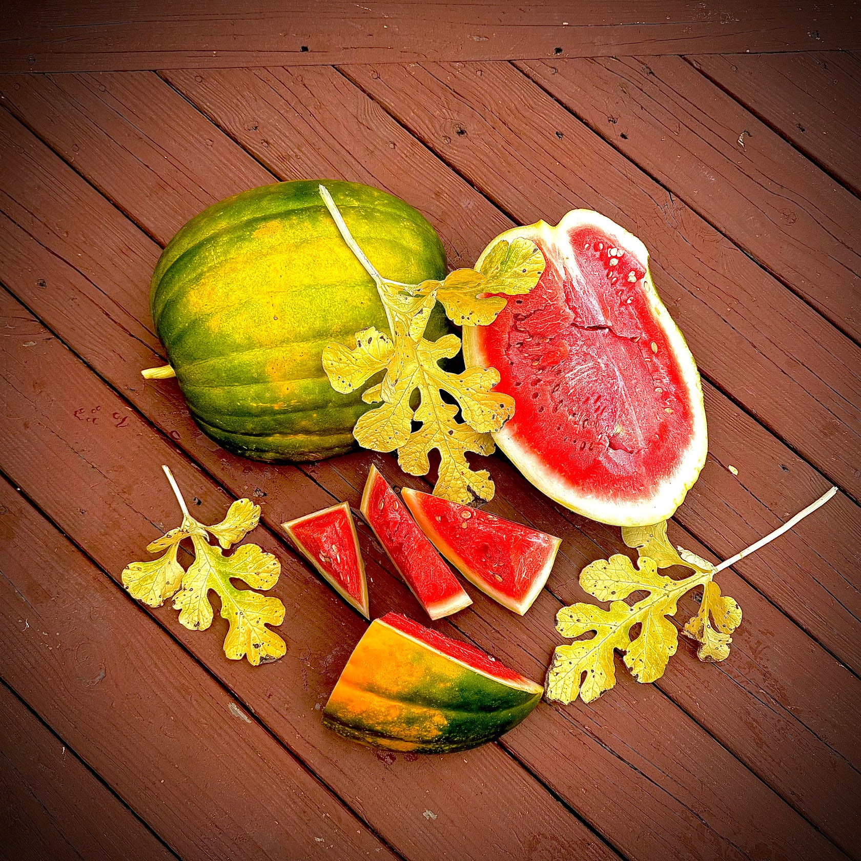 Watermelon - Royal Golden – Beebe Seed Co