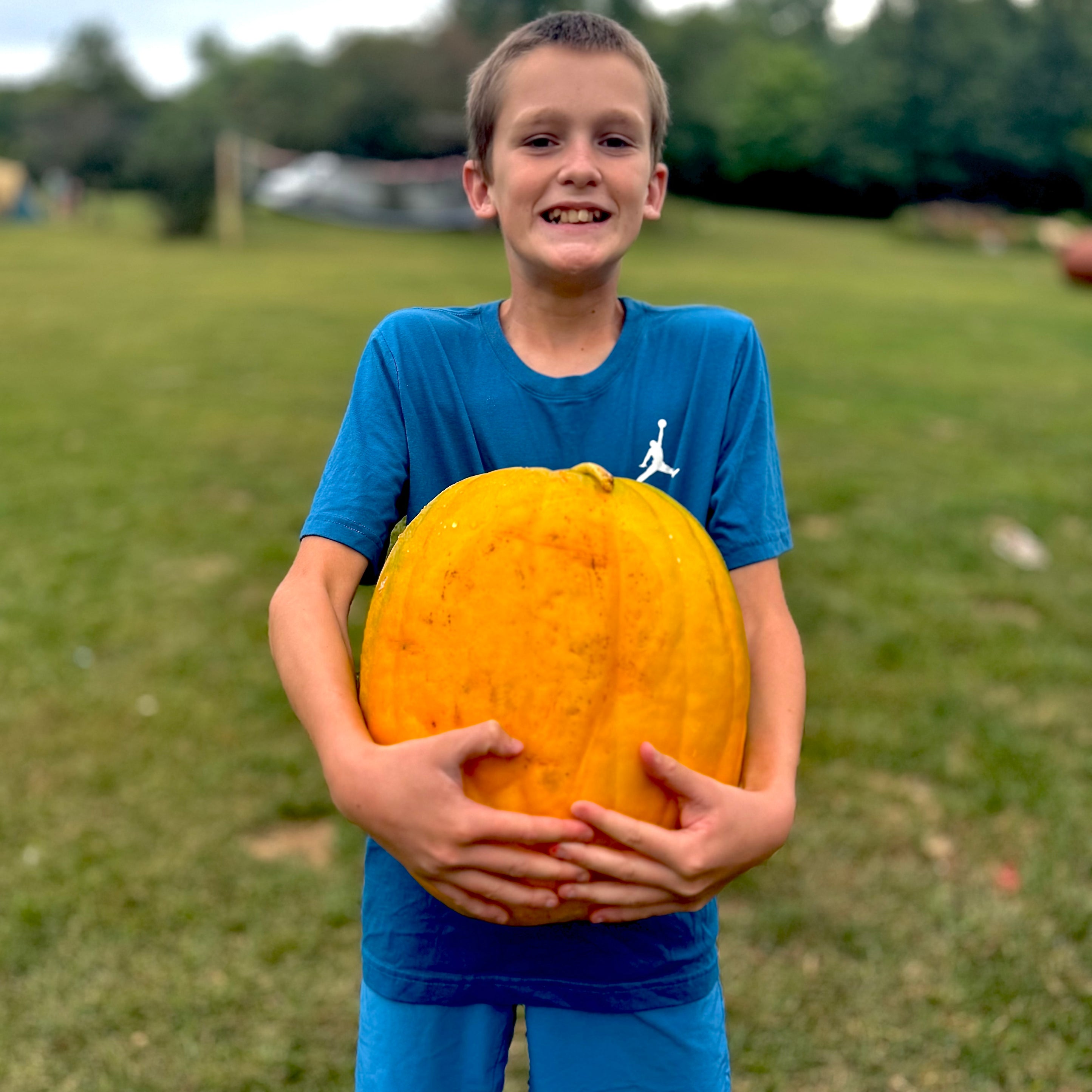 Watermelon - Royal Golden – Beebe Seed Co