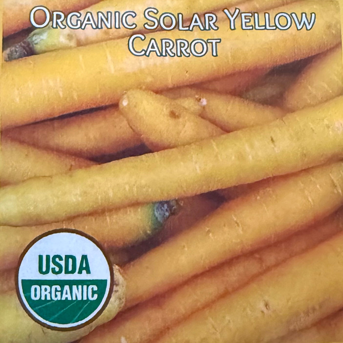 Carrot - Solar Yellow – Beebe Seed Co